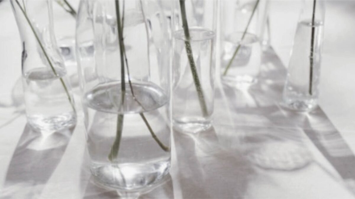 品牌故事(原始版) - Queenie Luxe